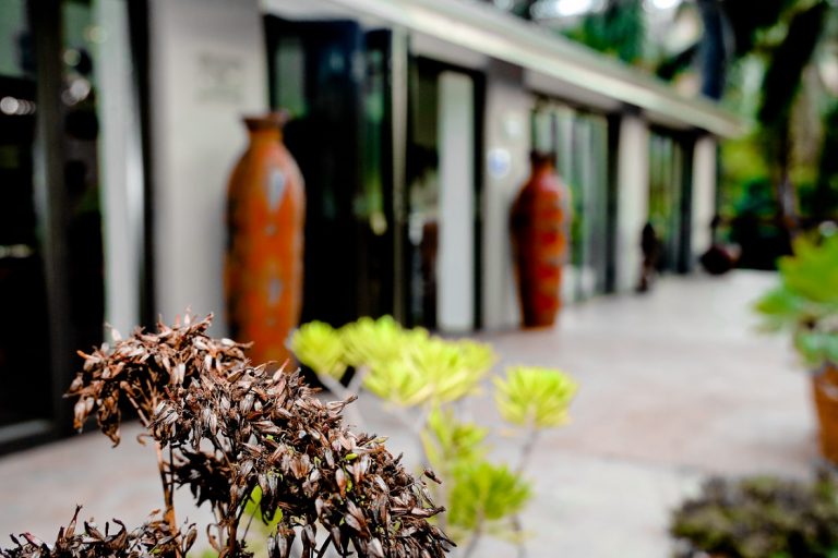 Madi a Thavha – Lodge and Hotel